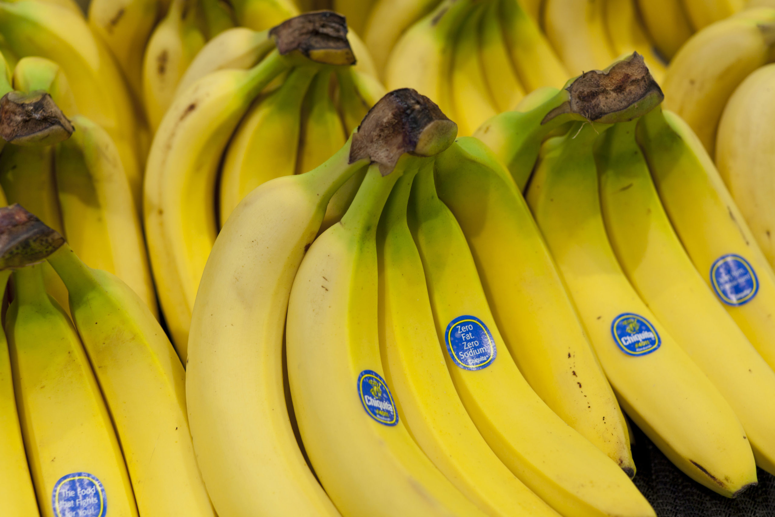 Human Rights Clinic team submits amicus brief in Chiquita Brands ... Human Rights Clinic team submits amicus brief in Chiquita Brands ...