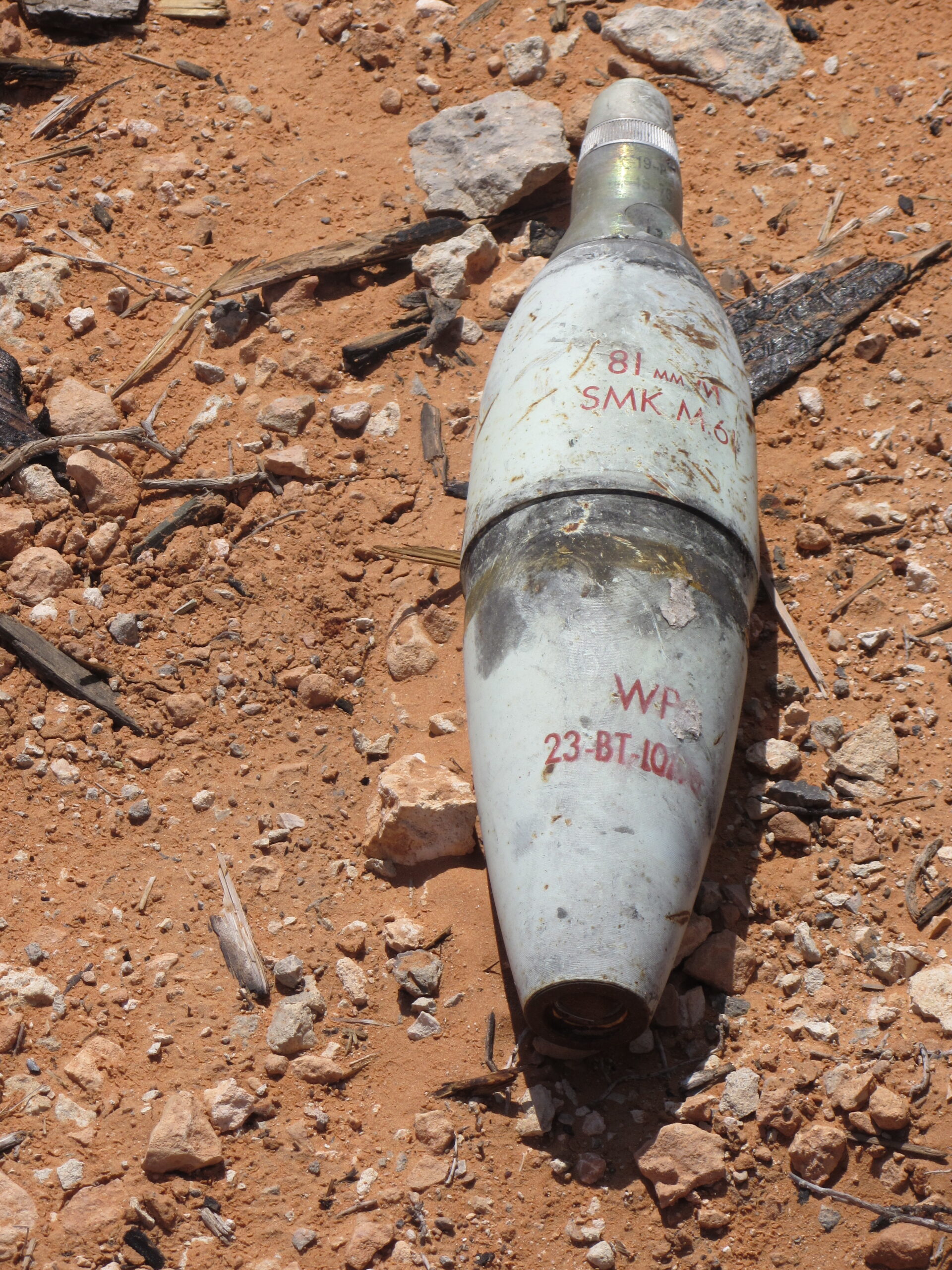 Incendiary Weapons: Growing Support for Stronger Protections ...