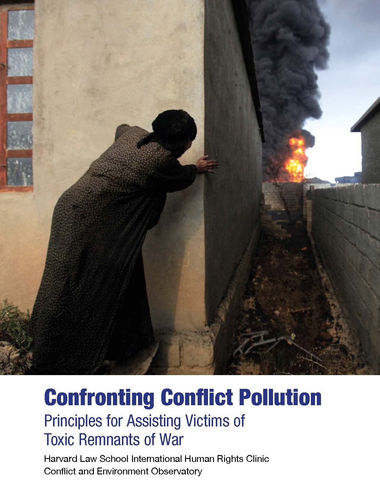 Confronting Conflict Pollution: Principles for Assisting Victims of ...